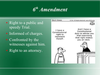 27th Amendment Definition