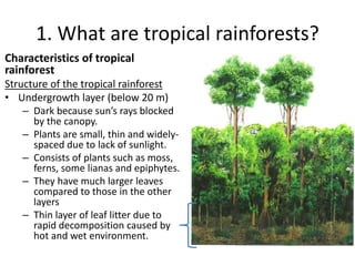 Sec 1 Chapter 3 Tropical Rainforests | PPTX