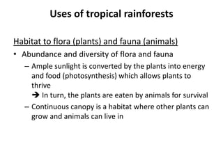 Sec 1 Chapter 3 Tropical Rainforests | PPTX