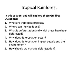 Sec 1 Chapter 3 Tropical Rainforests | PPTX