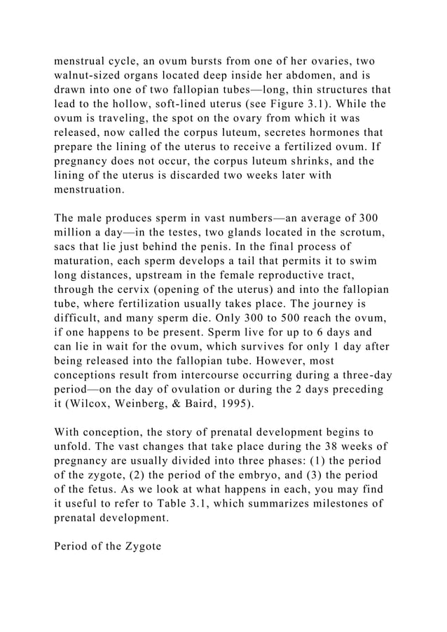 Chapter 3 Prenatal Development, Birth, and the Newborn BabyA.docx