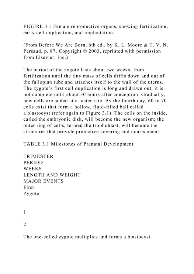 Chapter 3 Prenatal Development, Birth, and the Newborn BabyA.docx