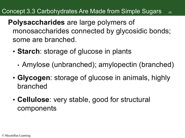 Chapter 3_ Proteins, Carbohydrates, and Lipids.pdf
