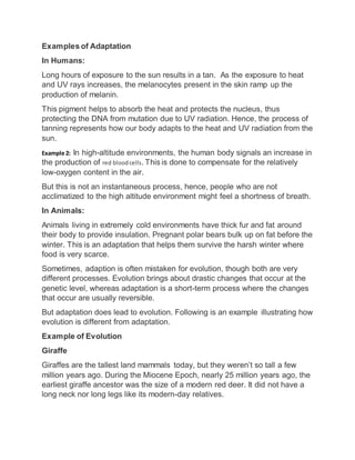 Chapter 3rd ecological interacions | DOCX