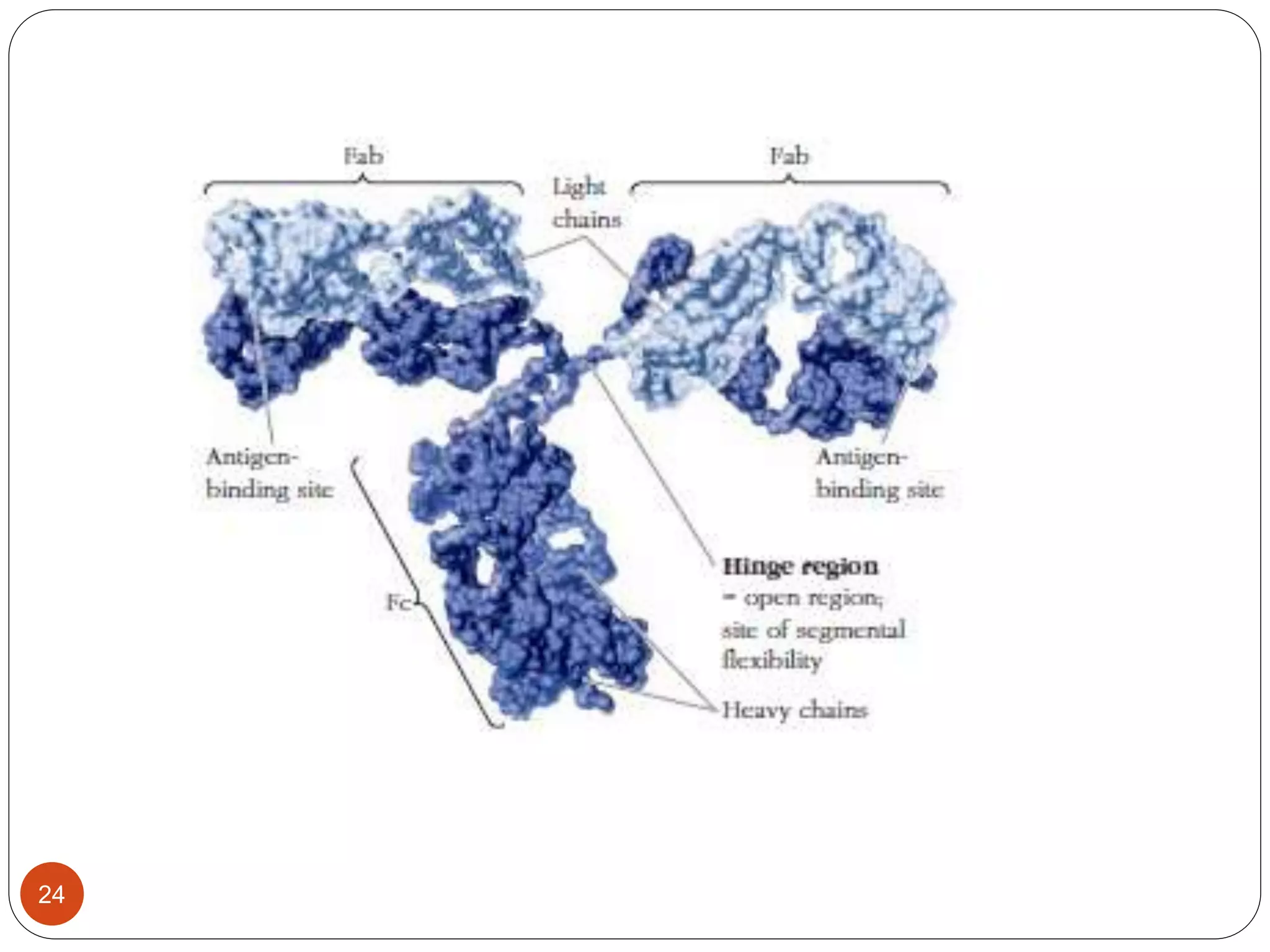 chapter 3 receptors and signaling pathway.ppt