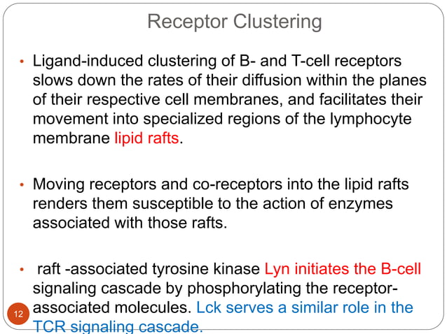 chapter 3 receptors and signaling pathway.ppt