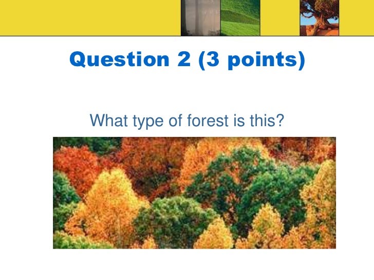 Chapter 3 – review game