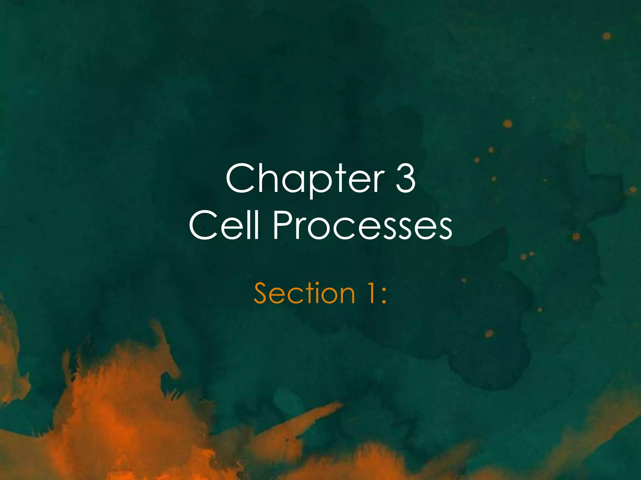 Chapter 3 section 1 (chemistry of life) | PPTX