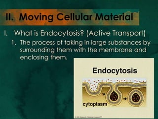 Chapter 3 section 2 notes (moving cellular material) | PPTX