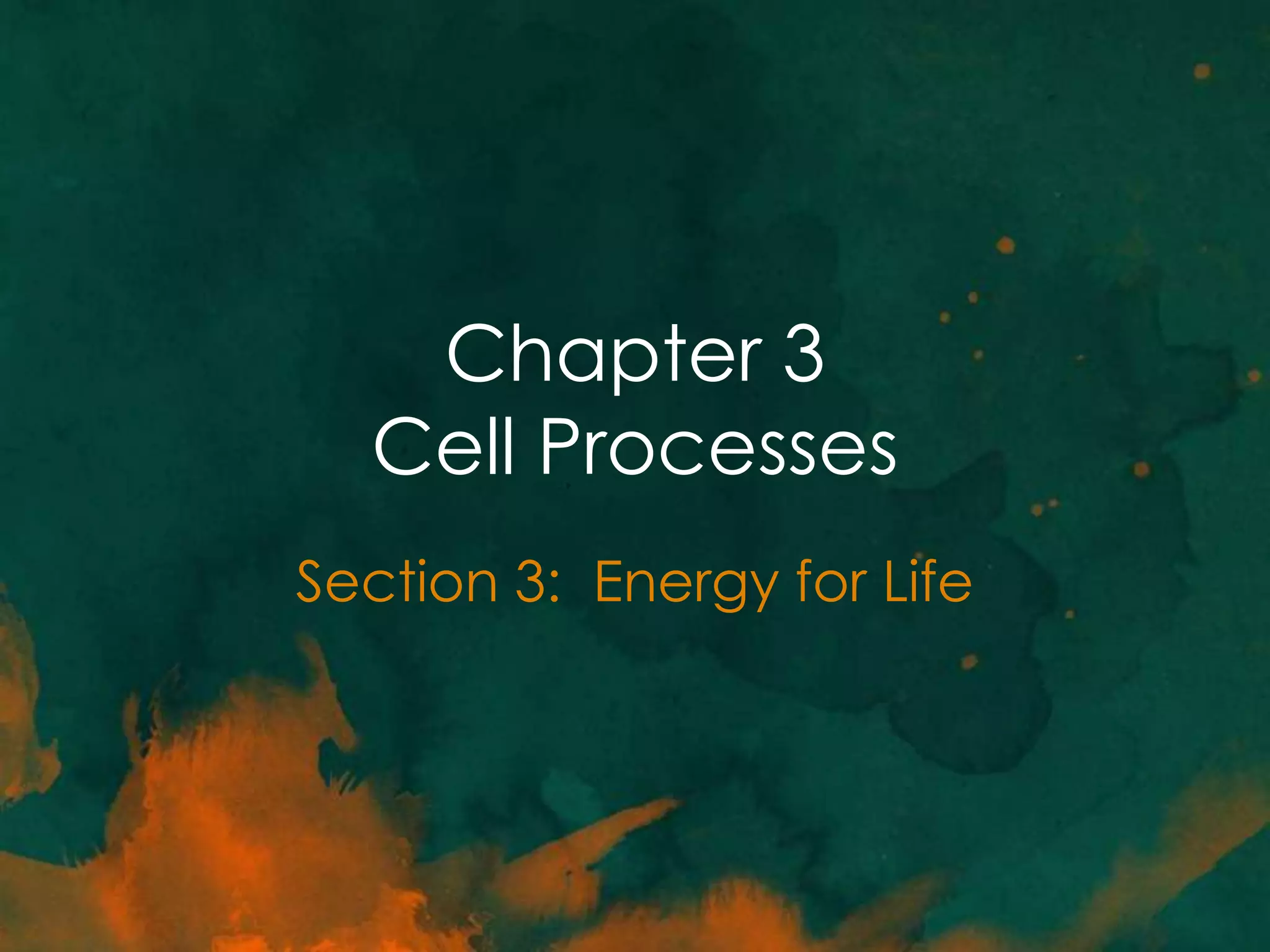 Chapter 3 section 3 notes | PPTX | Biological Sciences | Science