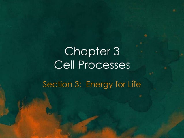 Chapter 3 section 3 notes | PPTX | Biological Sciences | Science