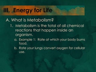 Chapter 3 section 3 notes | PPTX | Biological Sciences | Science