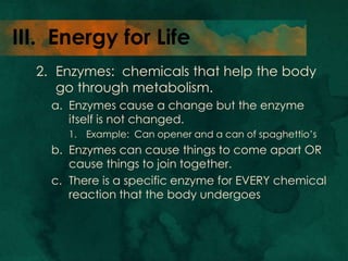 Chapter 3 section 3 notes | PPTX | Biological Sciences | Science