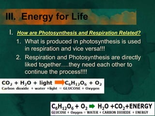 Chapter 3 section 3 notes | PPTX