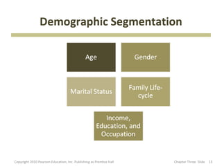 Chapter 3 Segmentation, Targeting & Positioning | PDF