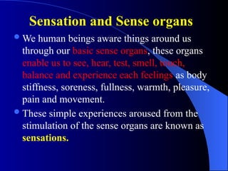 chapter 3 sensation & perception powerpoint.pptx