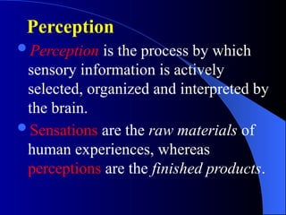 chapter 3 sensation & perception powerpoint.pptx