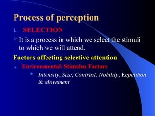 chapter 3 sensation & perception powerpoint.pptx