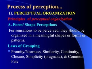 chapter 3 sensation & perception powerpoint.pptx