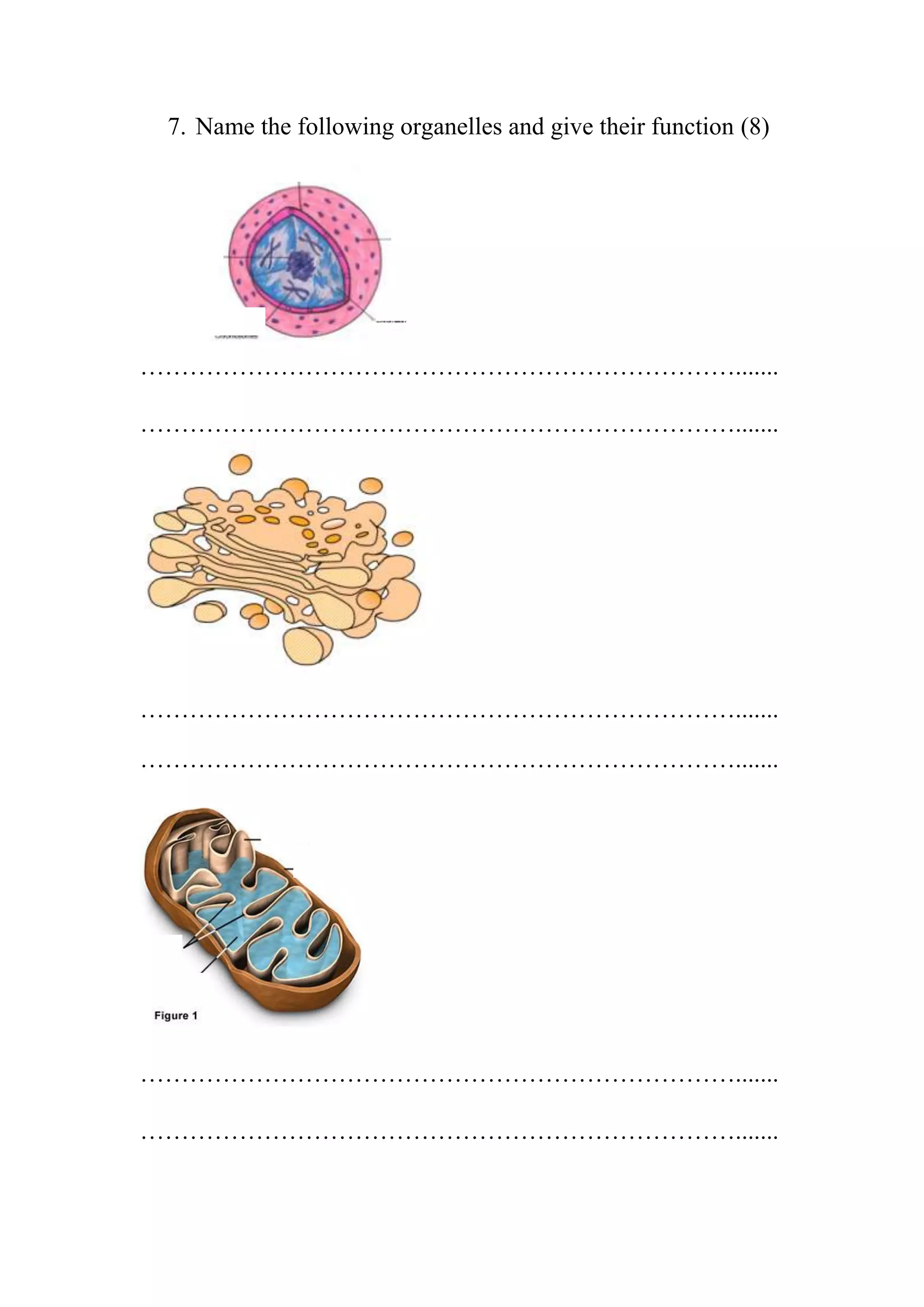 AQA AS Biology - Unit 1 - Chapter 3 | PDF