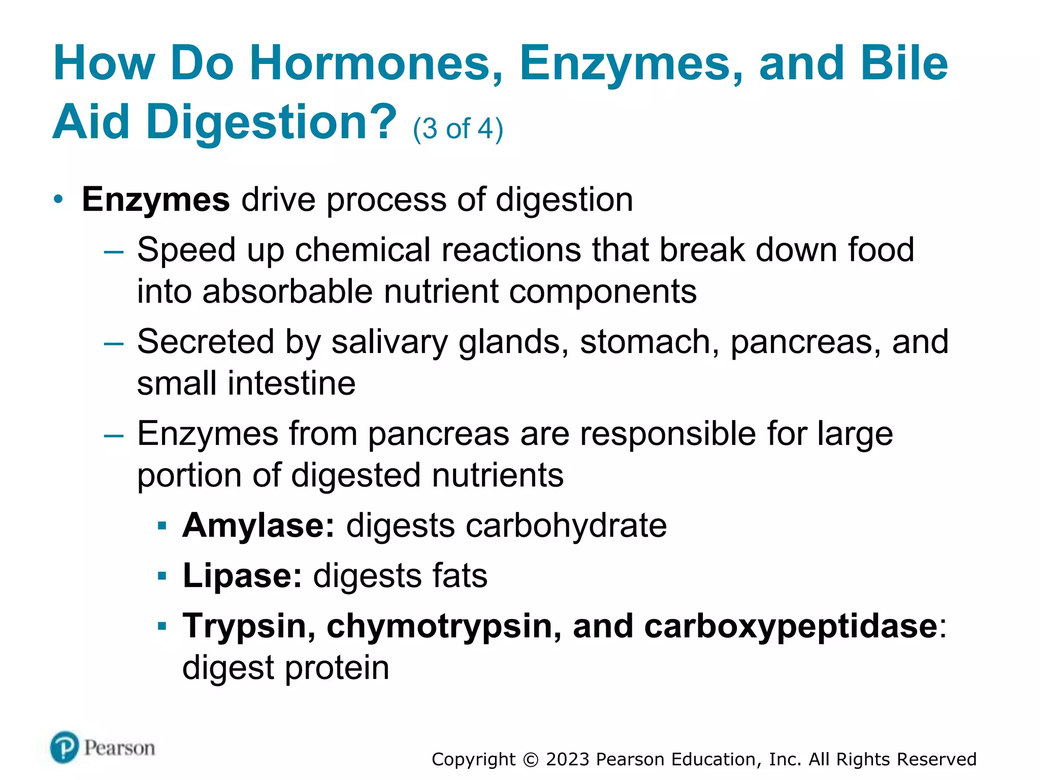 CHAPTER 3 THE BASICS OF NUTRITION.pptx