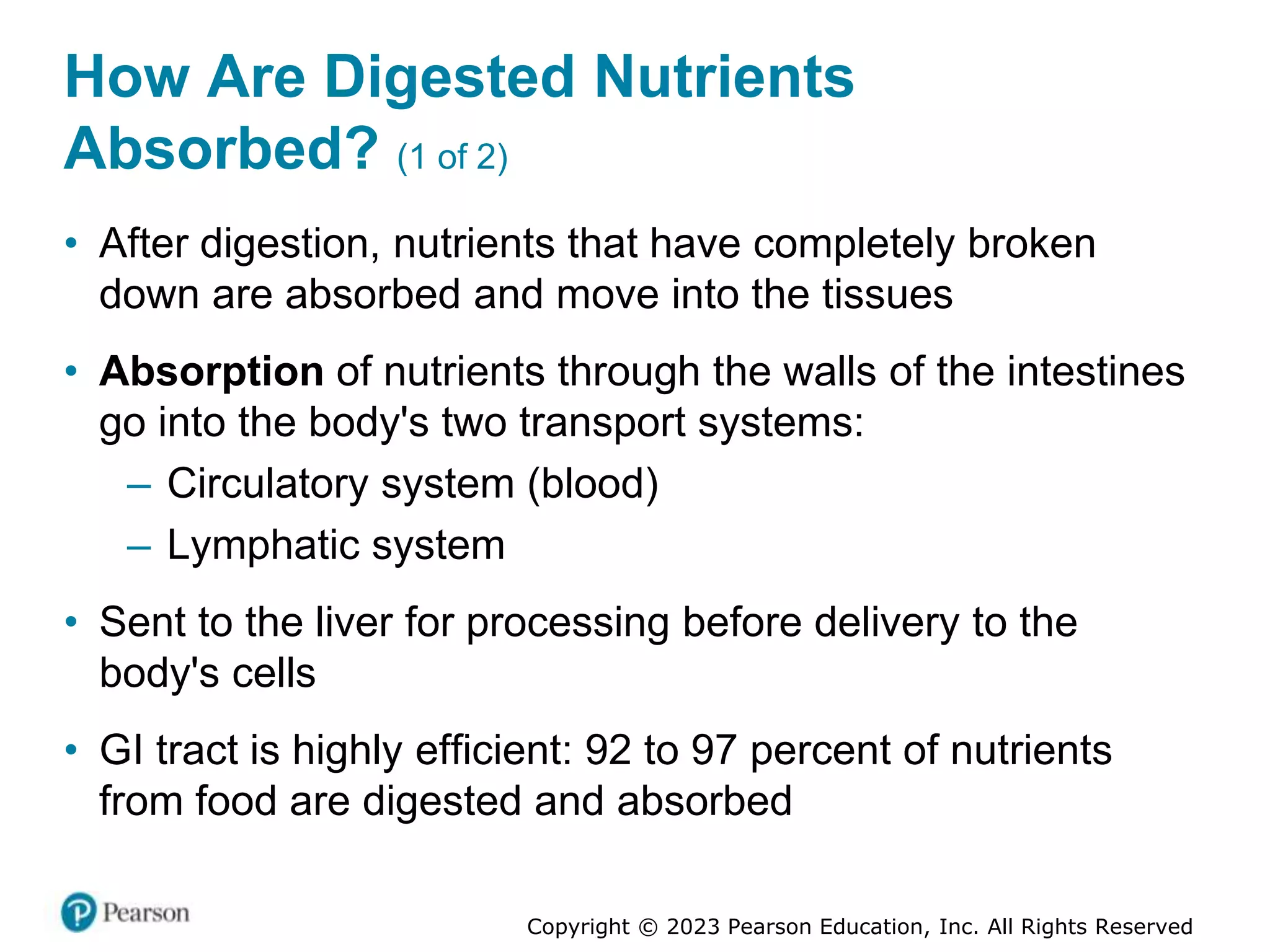 CHAPTER 3 THE BASICS OF NUTRITION.pptx