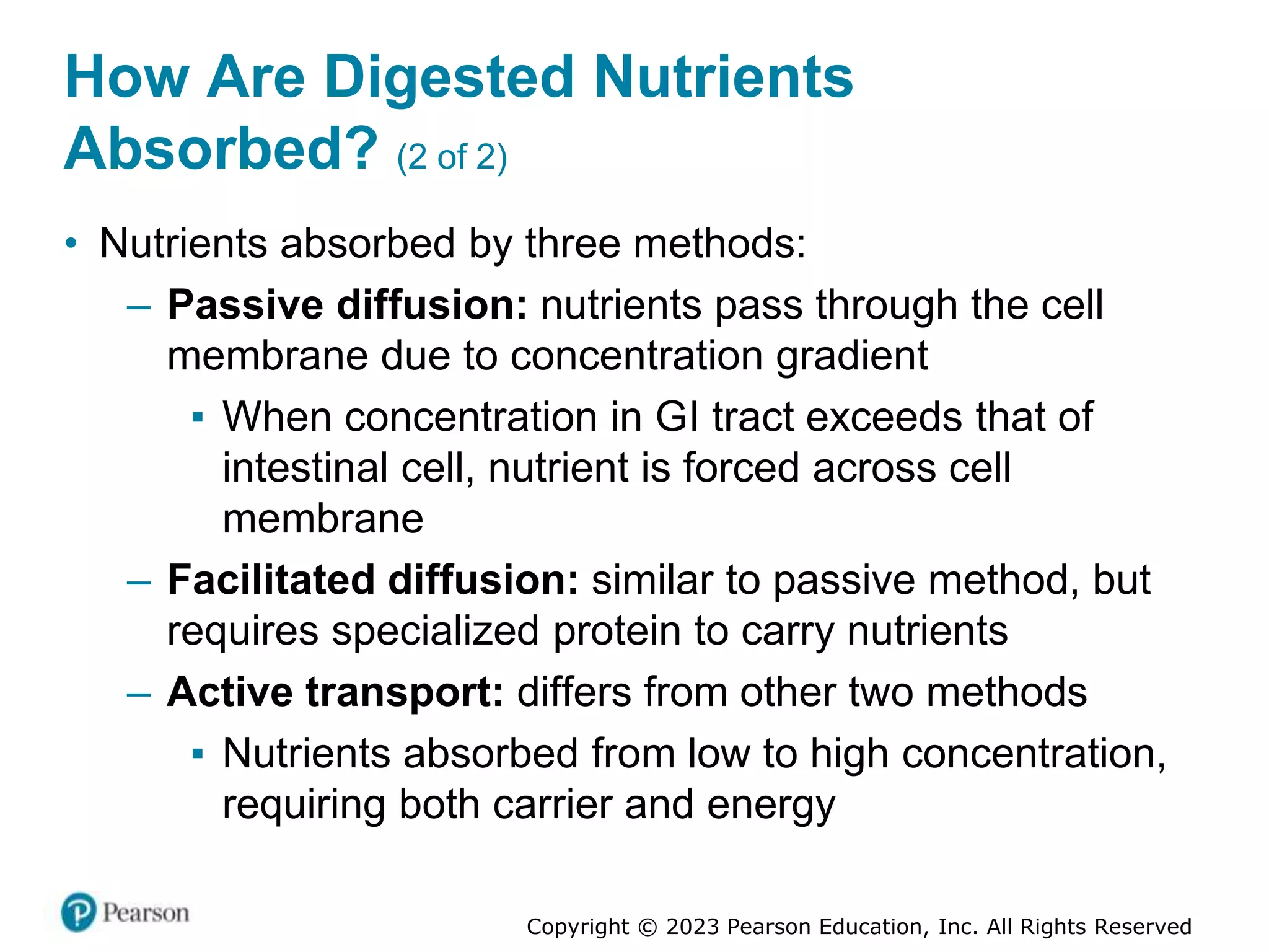 CHAPTER 3 THE BASICS OF NUTRITION.pptx
