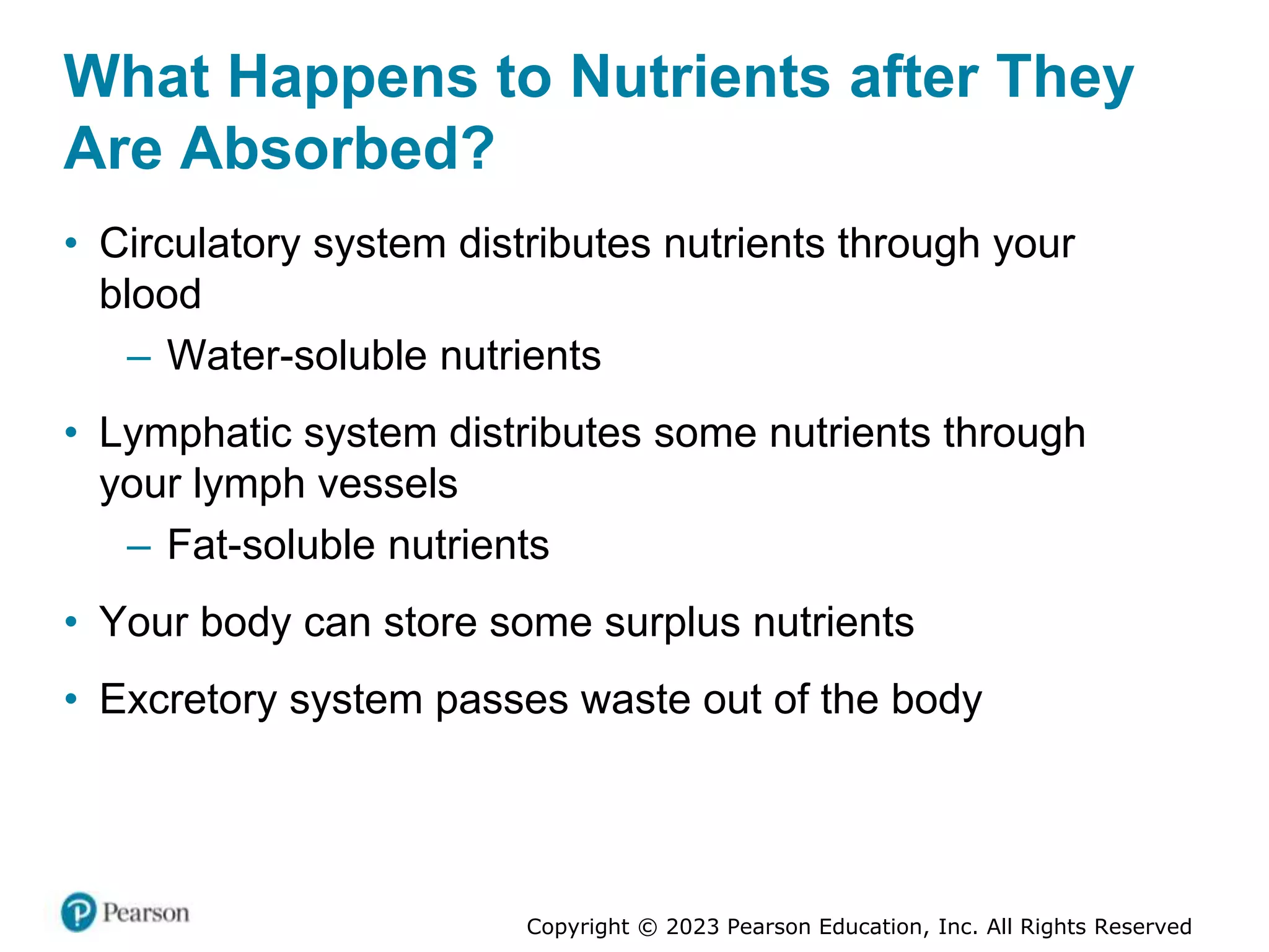 CHAPTER 3 THE BASICS OF NUTRITION.pptx