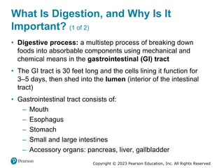 CHAPTER 3 THE BASICS OF NUTRITION.pptx