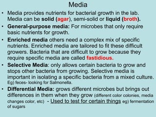 Chapter 3 tools of the laboratory e mail | PPT