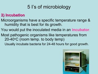 Chapter 3 tools of the laboratory e mail | PPT
