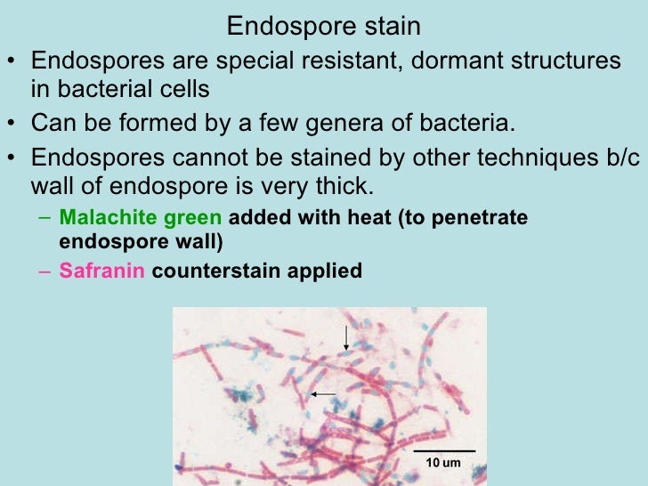 Chapter 3 tools of the laboratory e mail