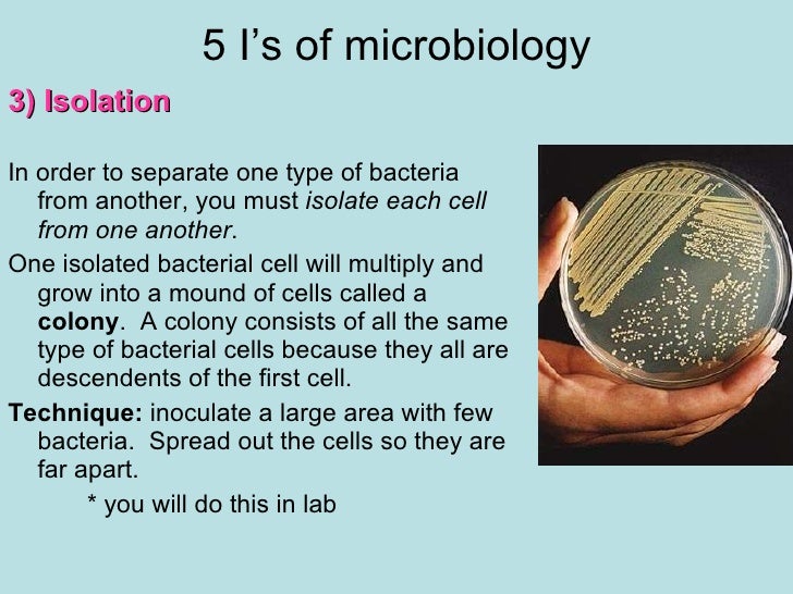 Chapter 3 tools of the laboratory e mail