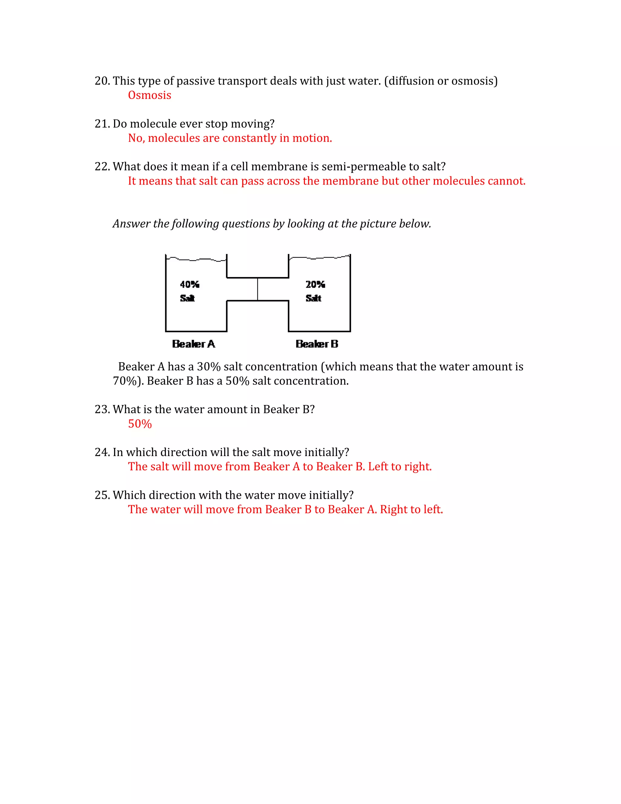 Chapter 3 Transport.docx