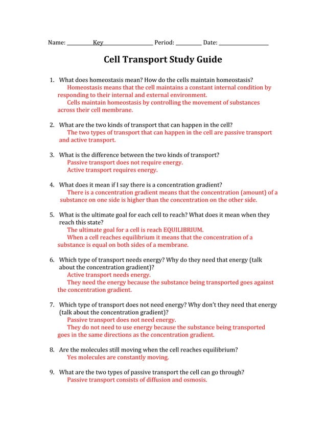 Chapter 3 Transport.docx | Biological Sciences | Science