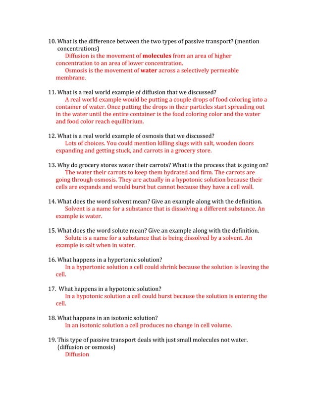Chapter 3 Transport Docx Biological Sciences Science