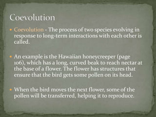 Ecosystems and Evolution | PPTX