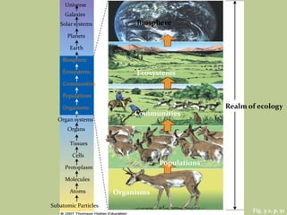 Ecosystems and Evolution | PPTX