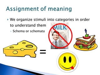 Chapter 4: Listening | PPT