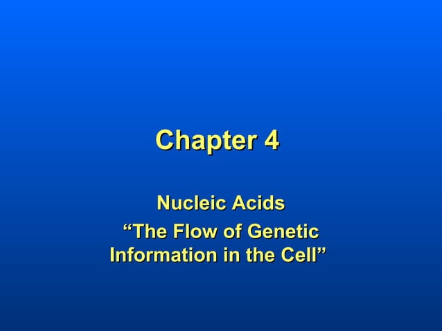 Chapter 4 | PPT