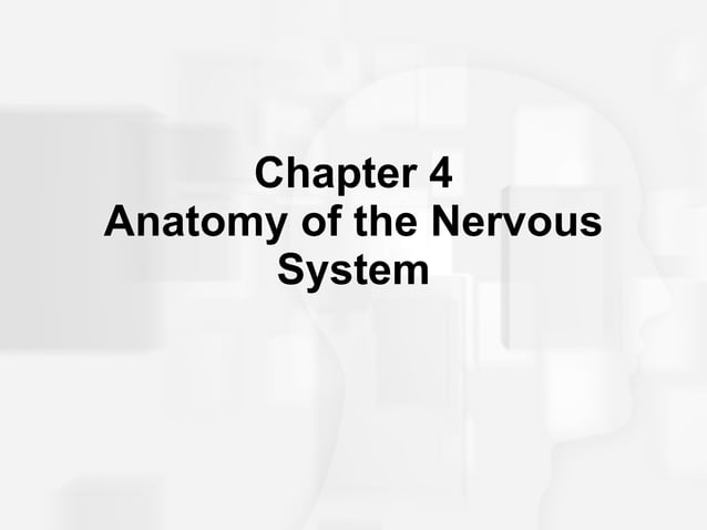 Chapter4 | PPT
