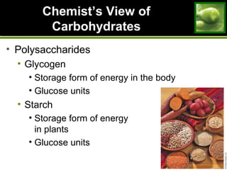 Chapter4 | PPT