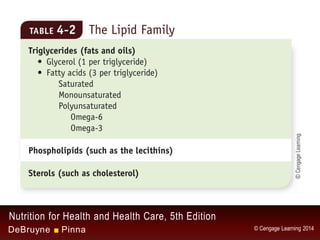 Chapter 4 - Lipids | PDF