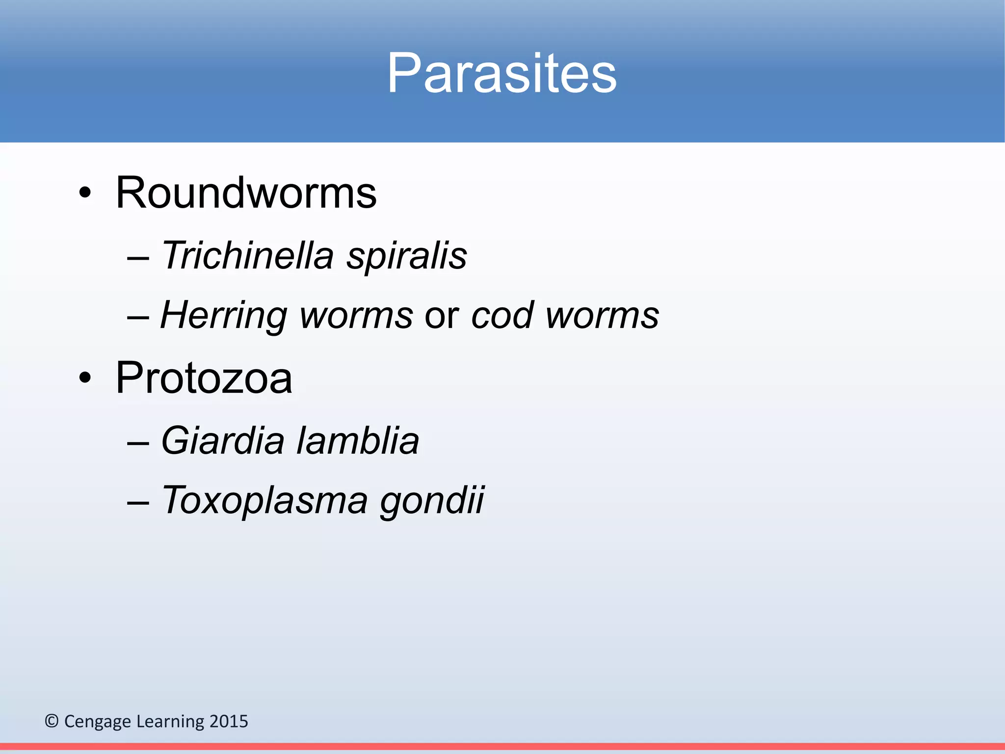 Chapter 4 - Food Safety | PPTX