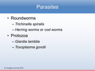 Chapter 4 - Food Safety | PPTX