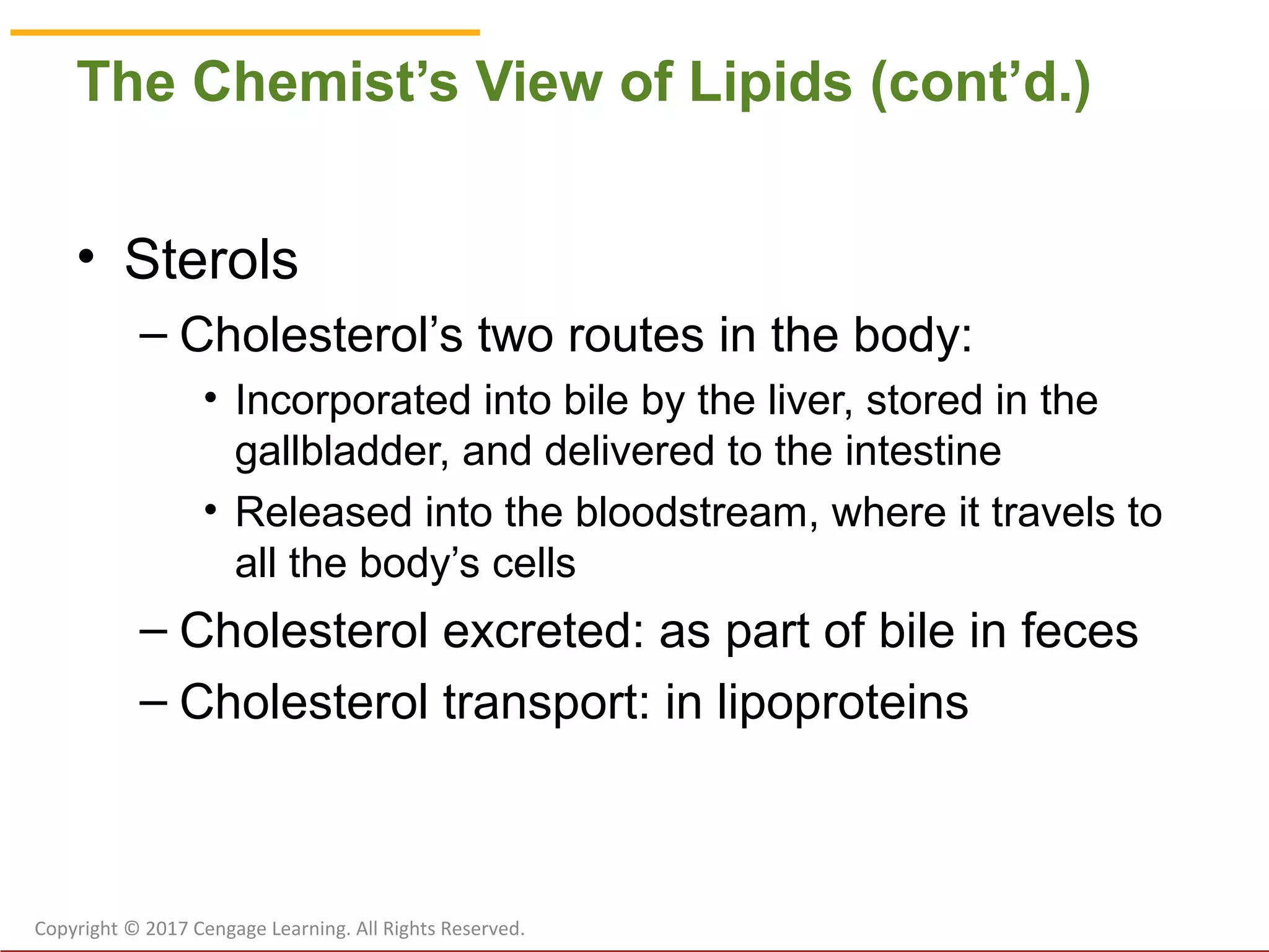 Chapter 4: Lipids | PPT