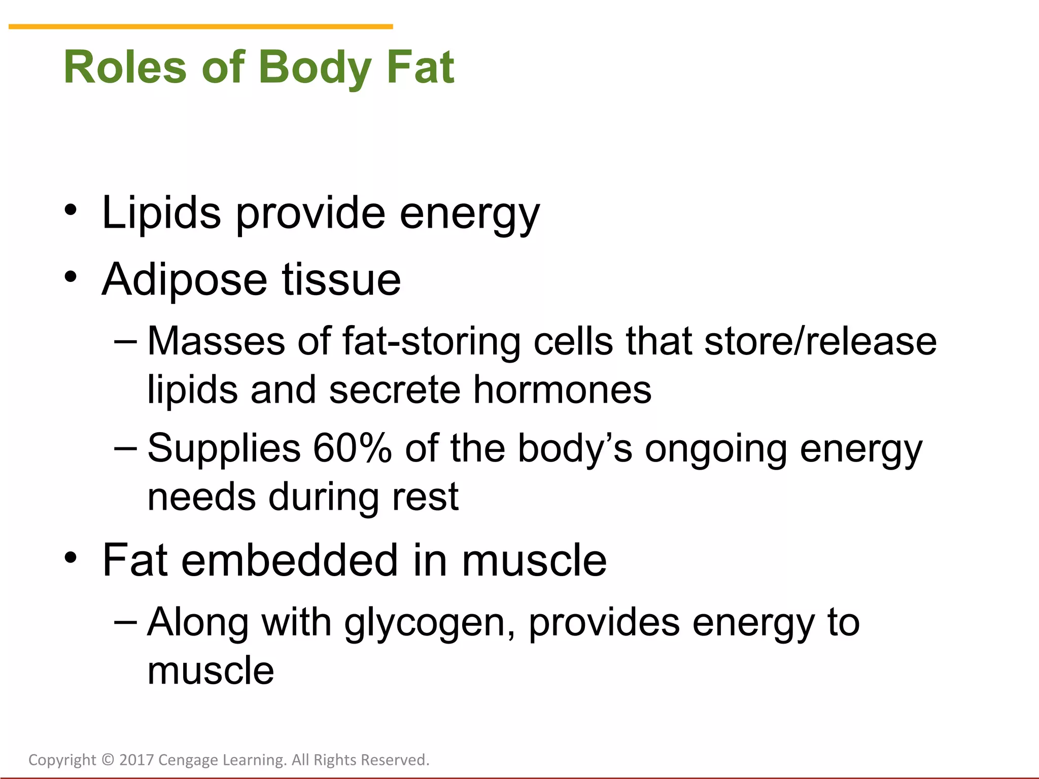 Chapter 4: Lipids | PPT