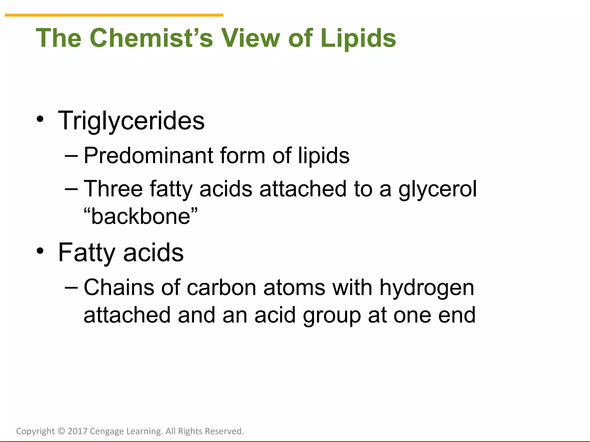 Chapter 4: Lipids | PPT