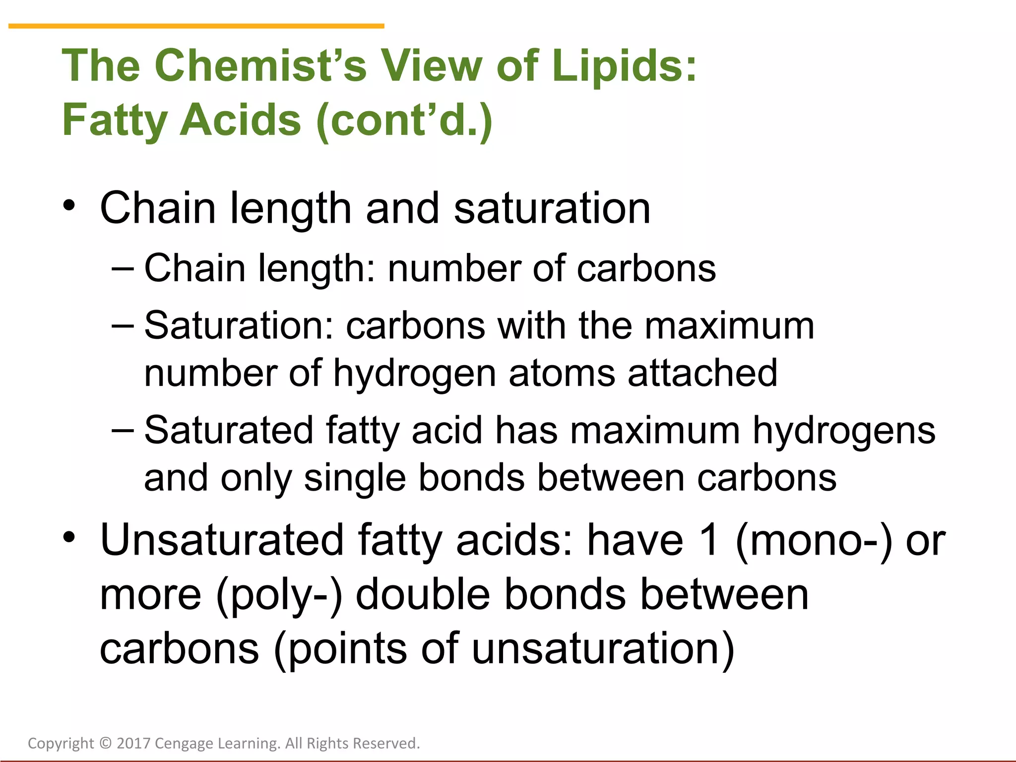 Chapter 4: Lipids | PPT