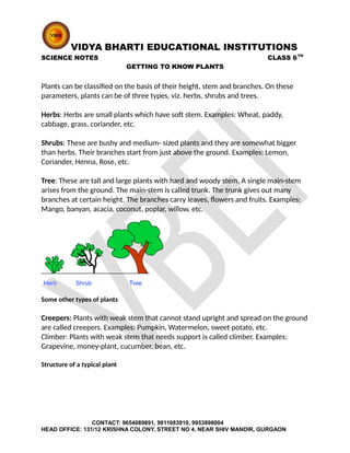 Chapter 4- Getting To know Plants | PDF